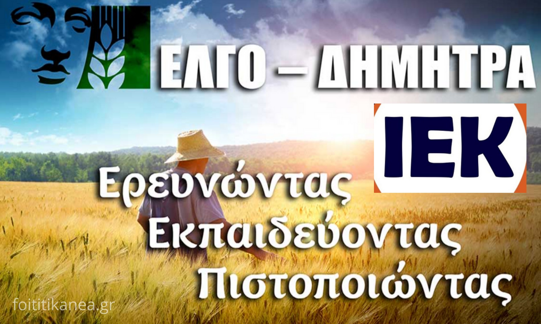 Ειδικότητες ΣΑΕΚ 2025-2026